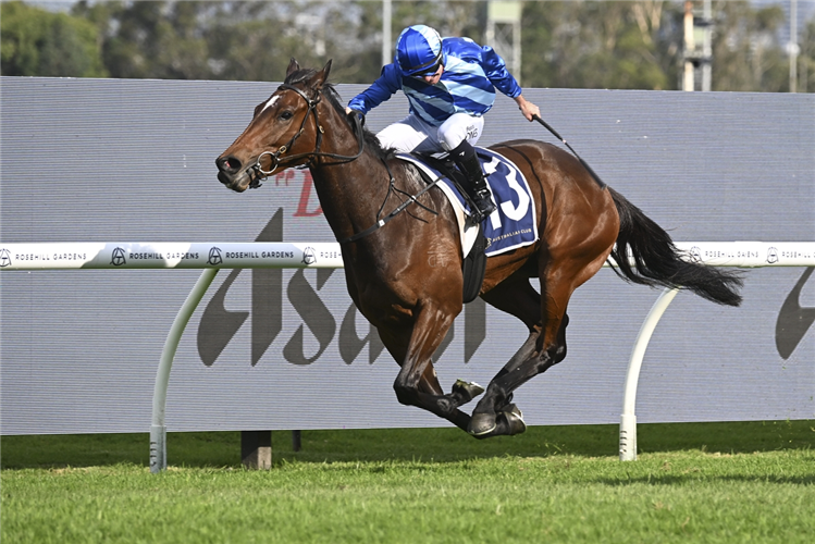 Vivy Reaches Rare Air In Five Diamonds Triumph | Racing and Sports