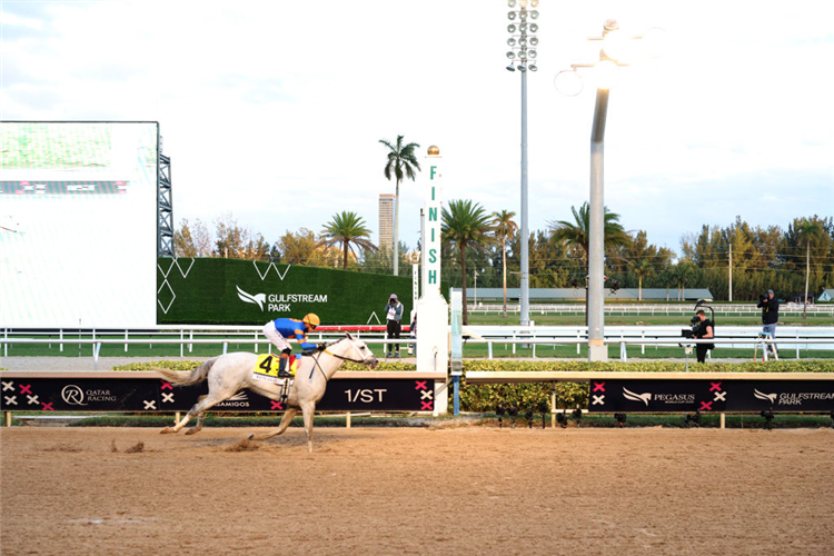 10th Pegasus At Gulfstream On Saturday | Sky Racing World | Sky Racing ...