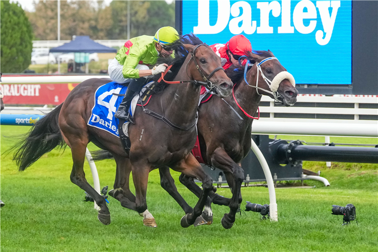 Winnasedge Wins The Vobis Gold Dash: Post Race Trainer And Jockey ...