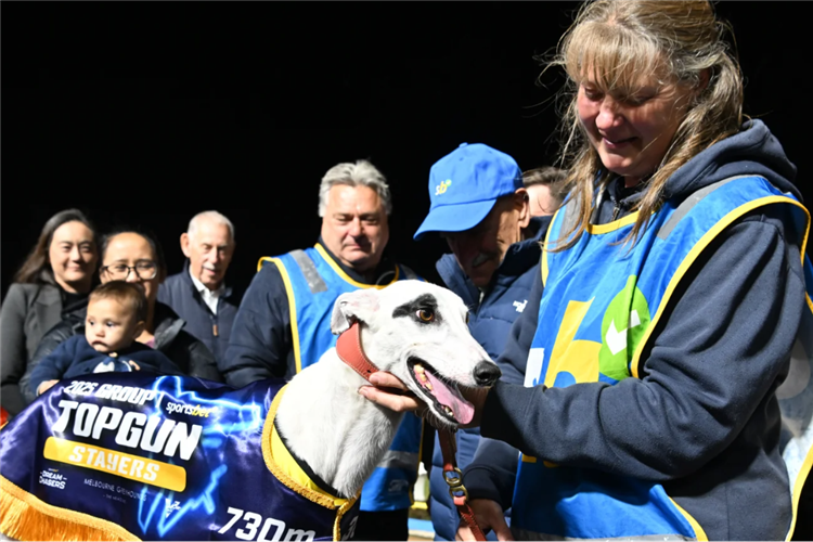 Without A Trace Rewrites The Record Books In Stunning Trfm Sale Cup ...