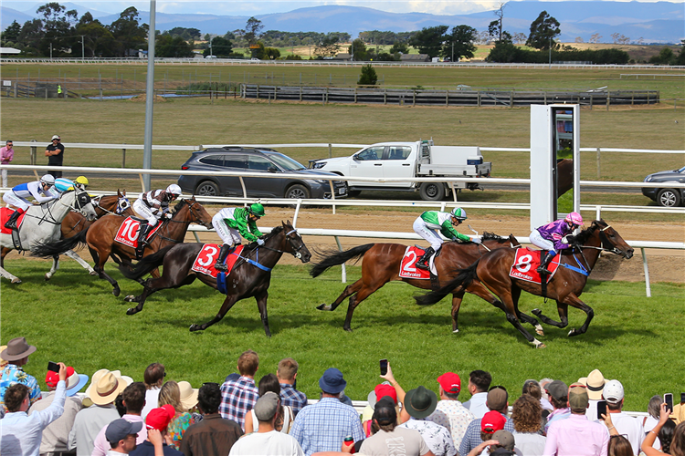 Lots Of Trust In His Stayer | Racing and Sports