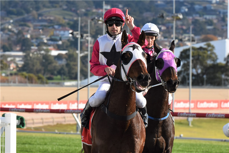 Anthony Darmanin Chasing Another Milestone In Tasmania | Racing and Sports