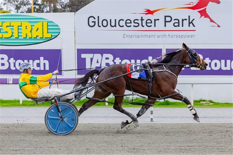 Pinjarra (Australia) Racecourse | Harness | Races Today | Racing and Sports