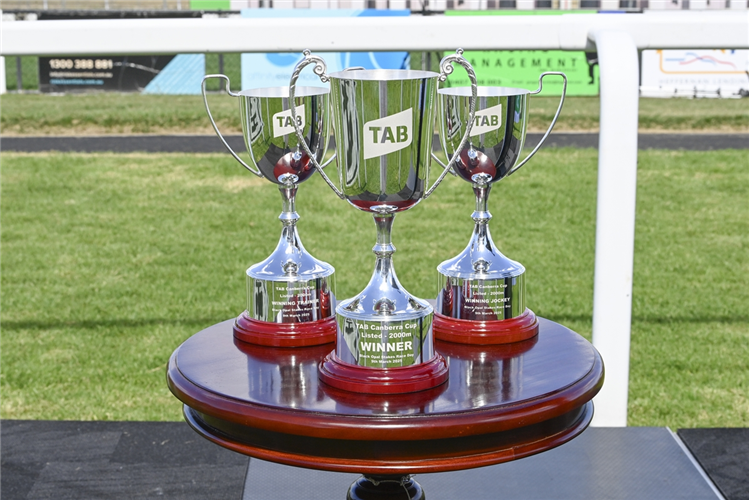 Canberra Cup To Celebrate Centenary Year In 2026 | Racing and Sports