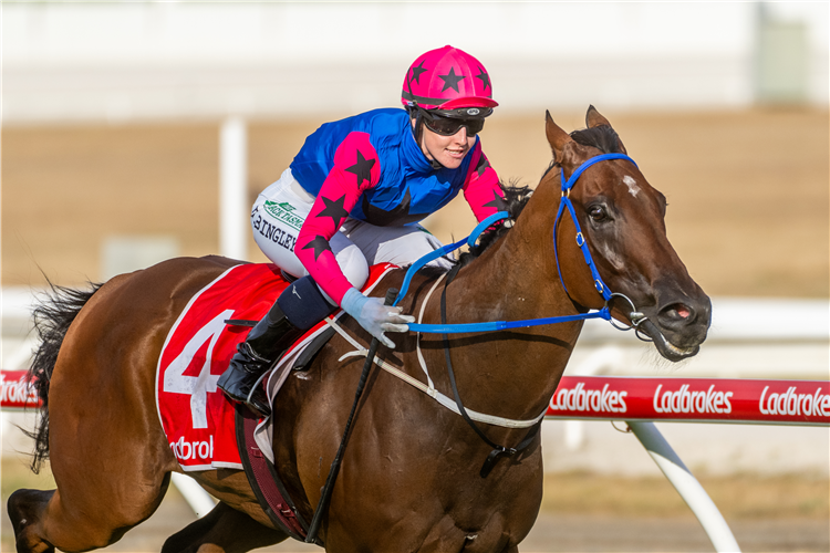 Star Tasmanian Apprentice To Make Return To The Saddle | Racing and Sports