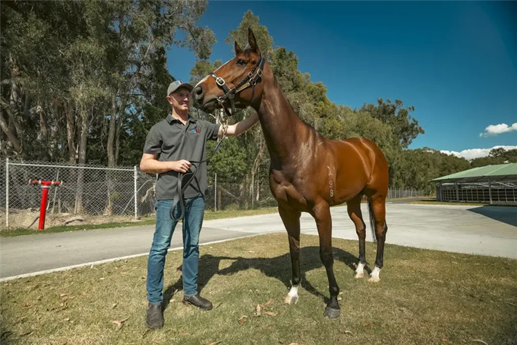 Mclean Delivers For Archer Park Team | Racing and Sports