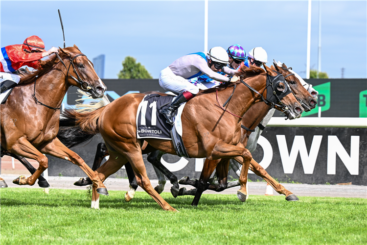 Ahha Ahha Wins Group 3 De Bortoli Wines Matron Stakes: Post Race ...