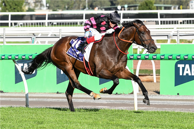 Al Duca Wins Royal Ascot Handicap: Post Race Trainer And Jockey Quotes ...