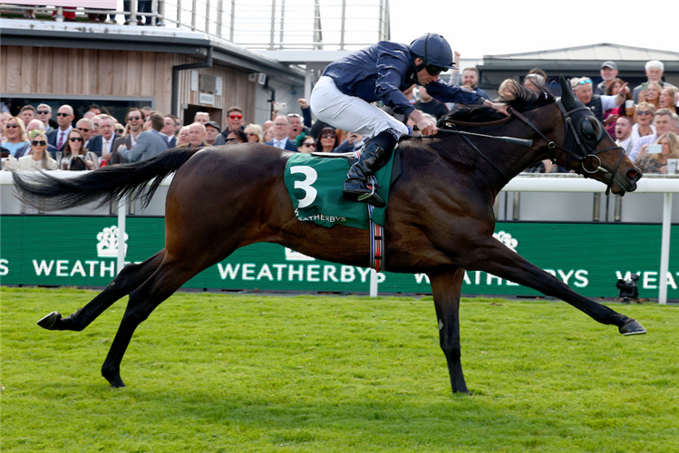 Amelia Earhart Downs I'm The One In Chesire Oaks To Become Epsom ...