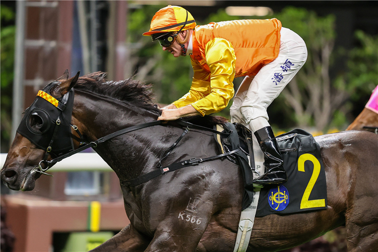 Armor Golden Eagle Chases Happy Valley Hat-Trick As Title Race Heats Up ...