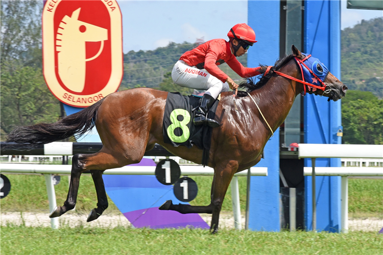 Johnny Lim’S Trio All Set To Cash In | Sky Racing World | Sky Racing World