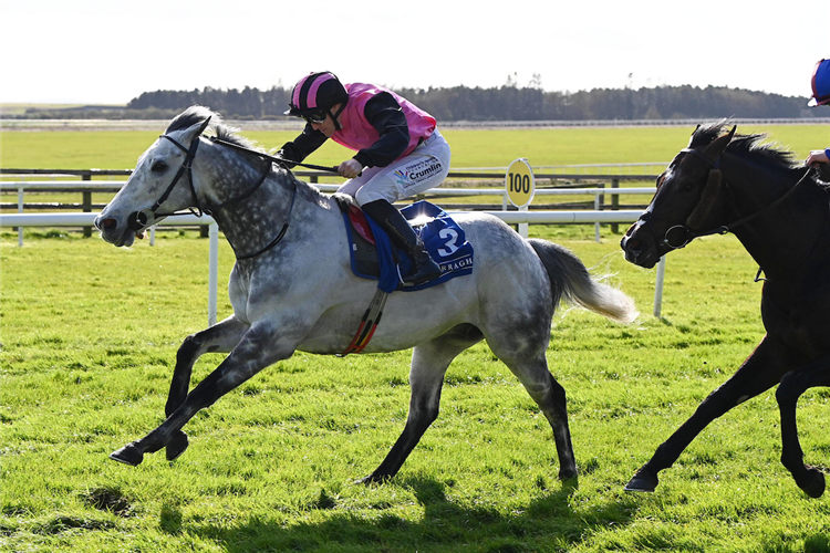 Big Gossey Rolls Back The Years As Zodiac Bear Strikes On Curragh ...