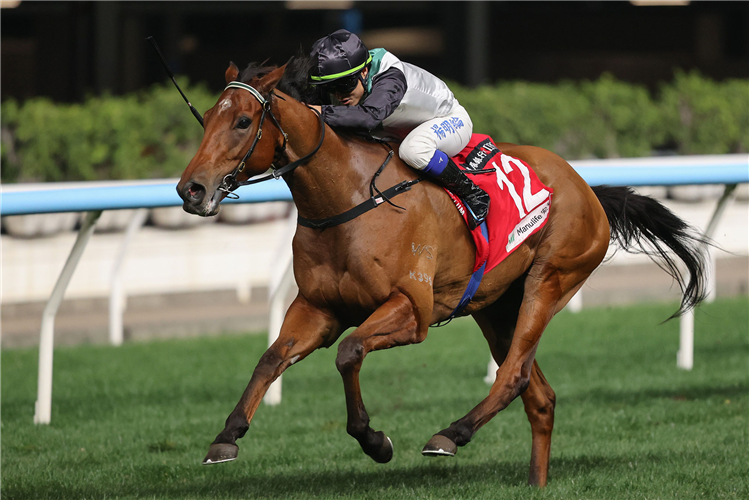 Hayes’ Happy Valley Brace Delivers 700th Win And Bmw Hong Kong Derby ...