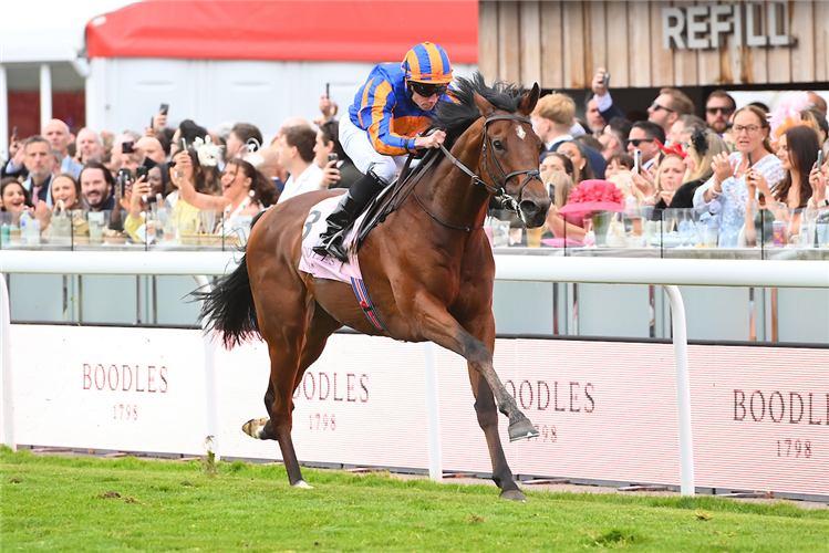 Constitution River Drawn Wide With O'brien Expecting "Tactical" Prix Du ...