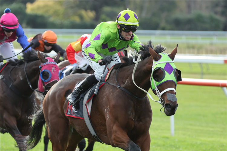 Crouch Dominant In Hawke’S Bay Cup | Racing and Sports