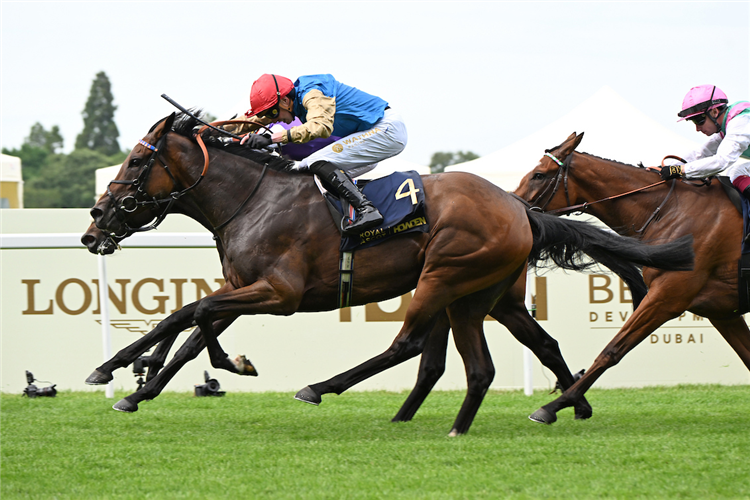Earth Shot Scores In Ribblesdale As Legacy Link Fails To Fire | Racing ...