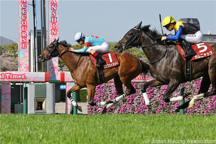 Group 1 Victoria Mile Preview 2026 | Racing and Sports