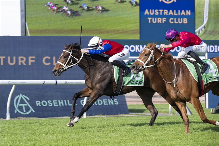 Ertijaaj Maintains Unbeaten Australian Race Record | Racing and Sports