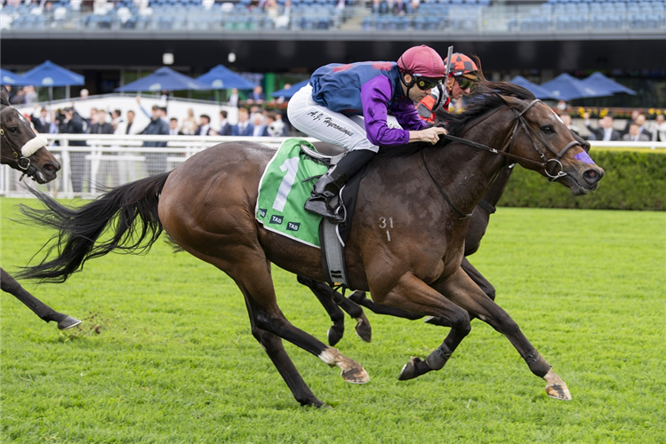 Exit Fee Lands Last-Gasp Win At Randwick | Racing and Sports