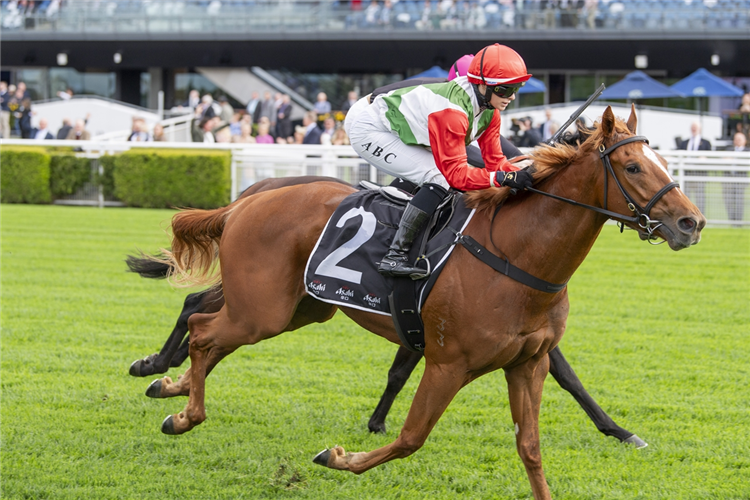 Friendly Fire Responds Under Pressure To Score An Impressive Win ...