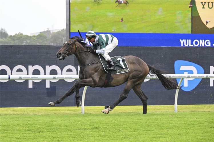 Future History Too Strong In January Cup | Racing and Sports