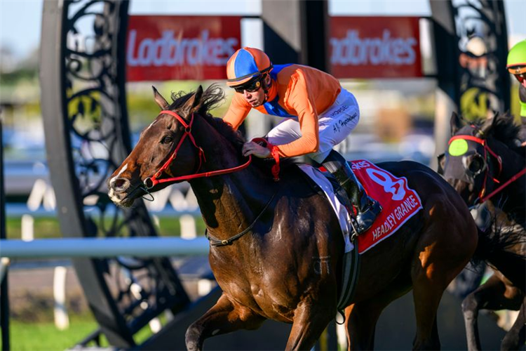 Group 1 Stradbroke Handicap Preview 2026 | Racing and Sports