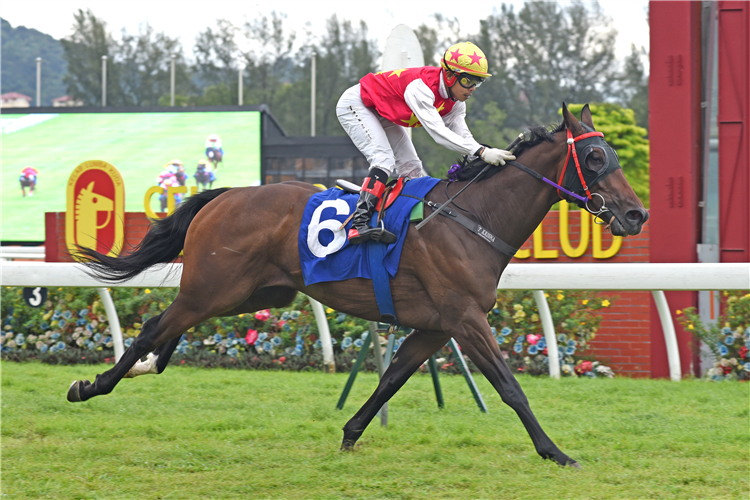 Irish Goodbye Returns To Winning Ways In Style | Sky Racing World | Sky ...