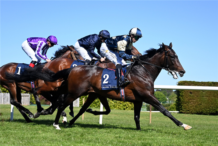 O'brien Hoping To See Knockout Blow From James J Braddock | Racing and ...