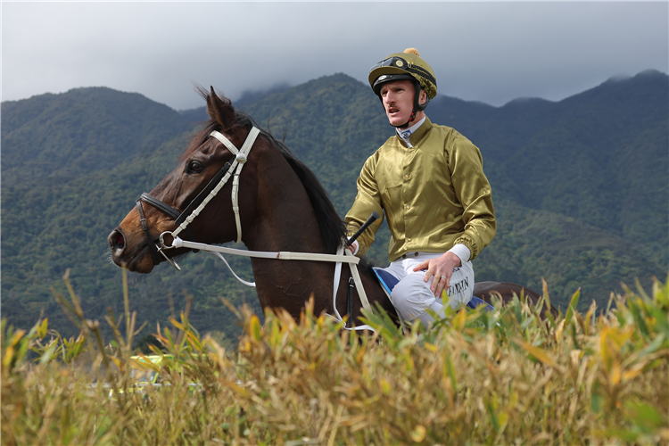 Fannin Calls Time On Jumps Jockey Career | Racing and Sports