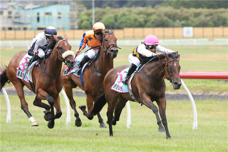 Lassified Too Swift In Wellesley Stakes | Racing and Sports