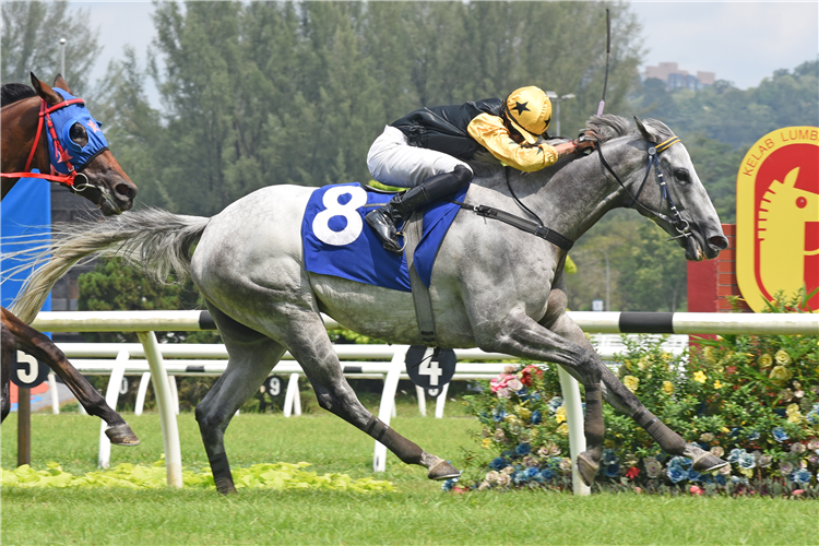 Latin Legend Making The News Again | Racing and Sports