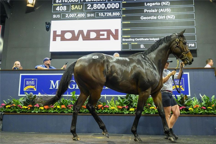 Legarto Sells For $2.8M | Racing and Sports