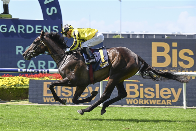 Machine Gun Gracie Wins Group 3 Bisley Workwear Epona Stakes: Post Race ...