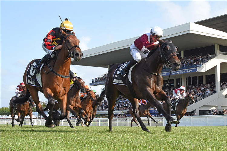 Ellerslie - Friday, 30 January | Sky Racing World | Sky Racing World