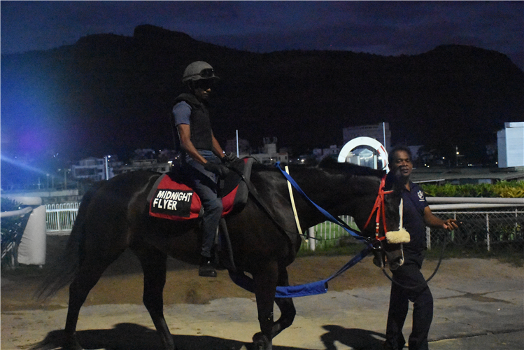 Horse Racing | Racing News | Betting | Mauritius Turf Club | Horse ...