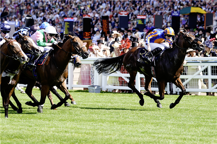 Coolmore Considering Everest For King Charles Victor | Racing and Sports