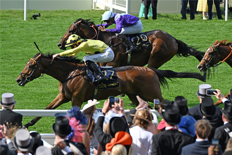 Zac Lloyd Rides A Royal Ascot Winner As He Continues To Take British ...