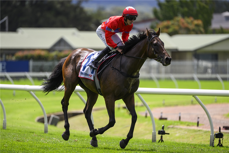 Mr Monaco Signals Sydney Cup Credentials | Sky Racing World | Sky ...