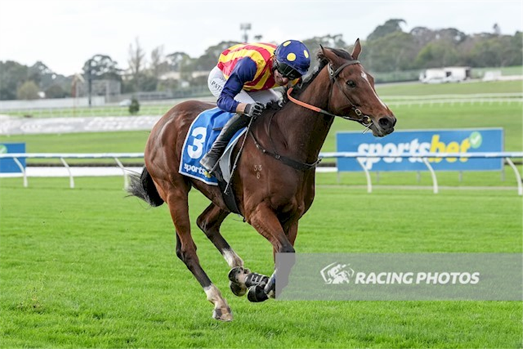 Mr Waterville A Class Above In Australian Hurdle | Racing and Sports