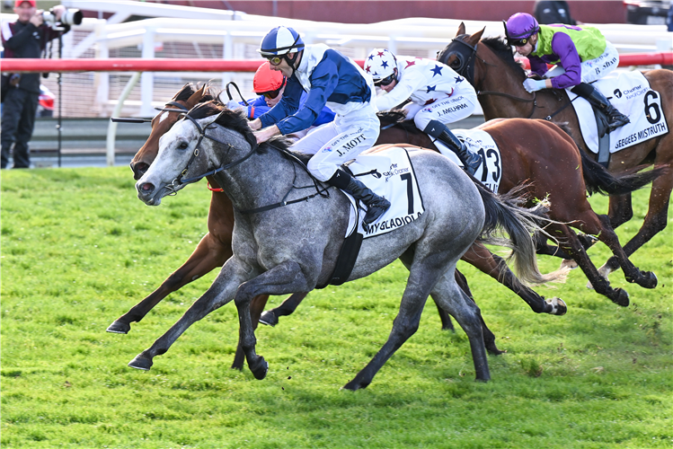 My Gladiola Scores Emotional Moir Stakes Win Racing And Sports