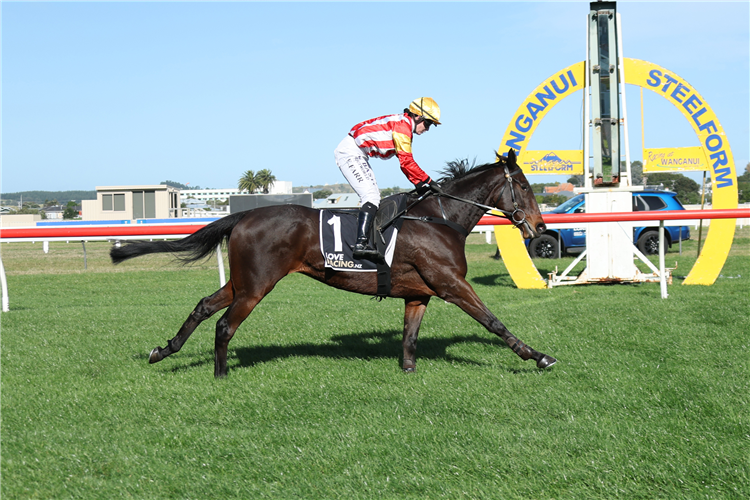 Never Look Back Makes Winning Start To Jumps Season | Racing and Sports