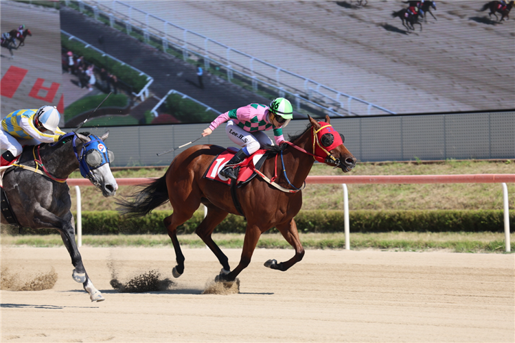Nice Buddy Disrupts The Elite With All The Way Knn Cup Victory | Racing ...
