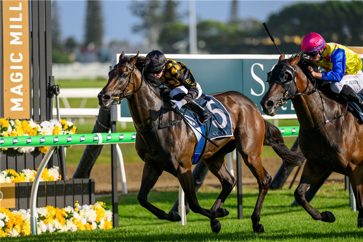 Gold Coast - Friday, 16 January | Racing and Sports