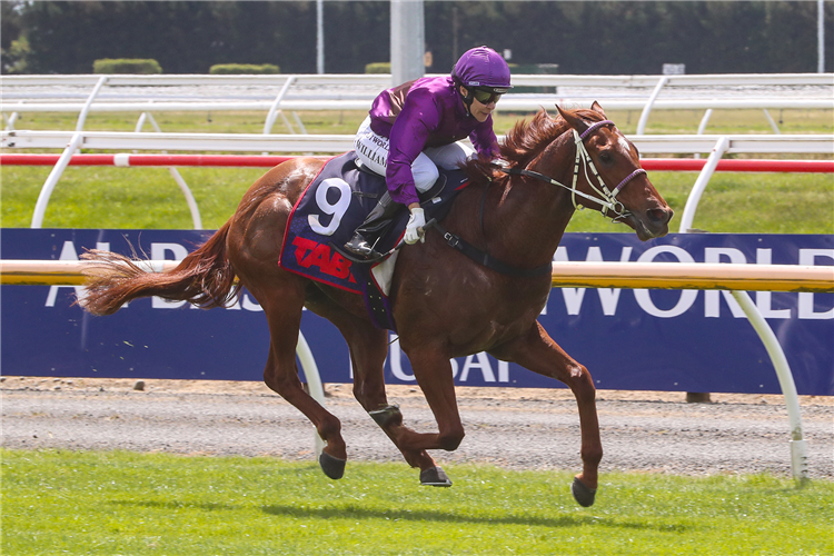 Further Queensland Assignments Await Platinum Pantheon | Racing and Sports