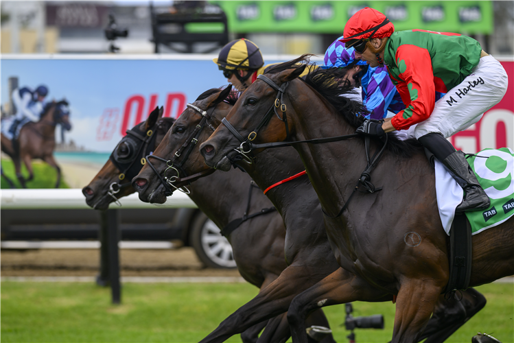 Poster Girl Wins The Magic Millions Fillies & Mares: Post Race Trainer ...