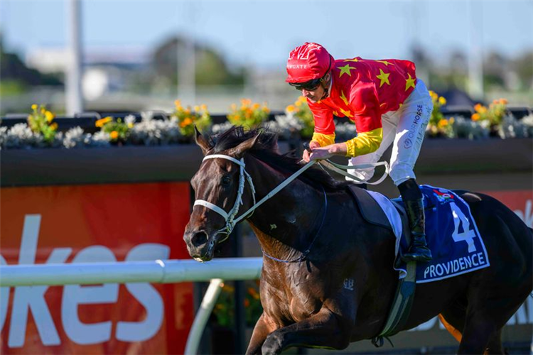 Providence Wins Group 1 Sky Racing Queensland Derby: Post Race Trainer ...