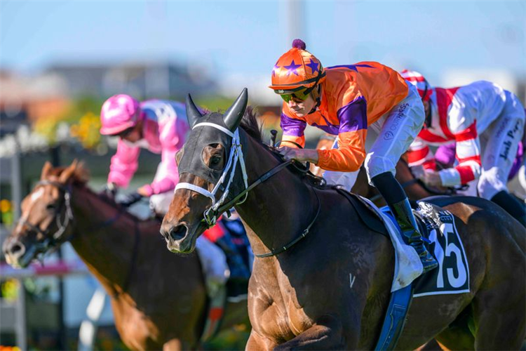 Regal Award Wins Group 3 Mullins Lawyers Fred Best Classic: Post Race ...