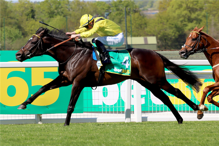 Saddadd In Good Shape Ahead Of Eclipse Bid | Racing and Sports