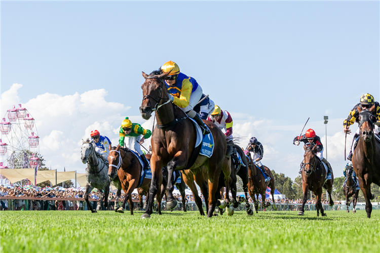 Sa Racing Delivers For Jobs, Regions And The Economy | Racing and Sports