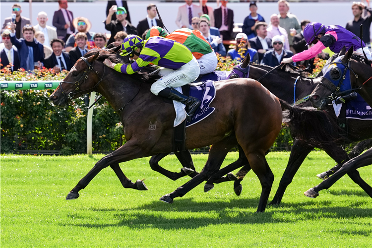 Stoli Bolli Wins Glorious Goodwood Handicap: Post Race Trainer And ...